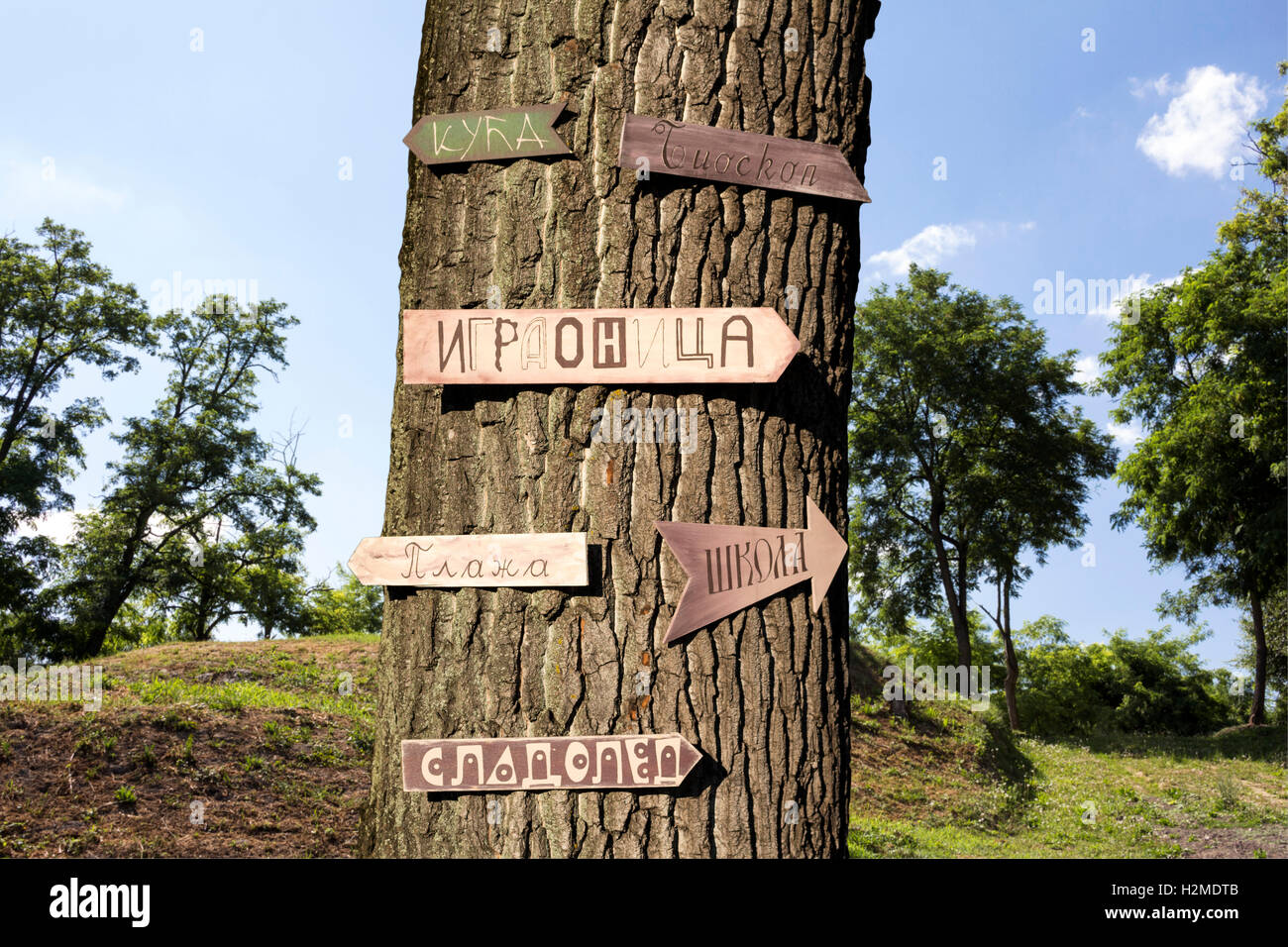 Tree in the woods with signs in Serbian language on it Stock Photo - Alamy
