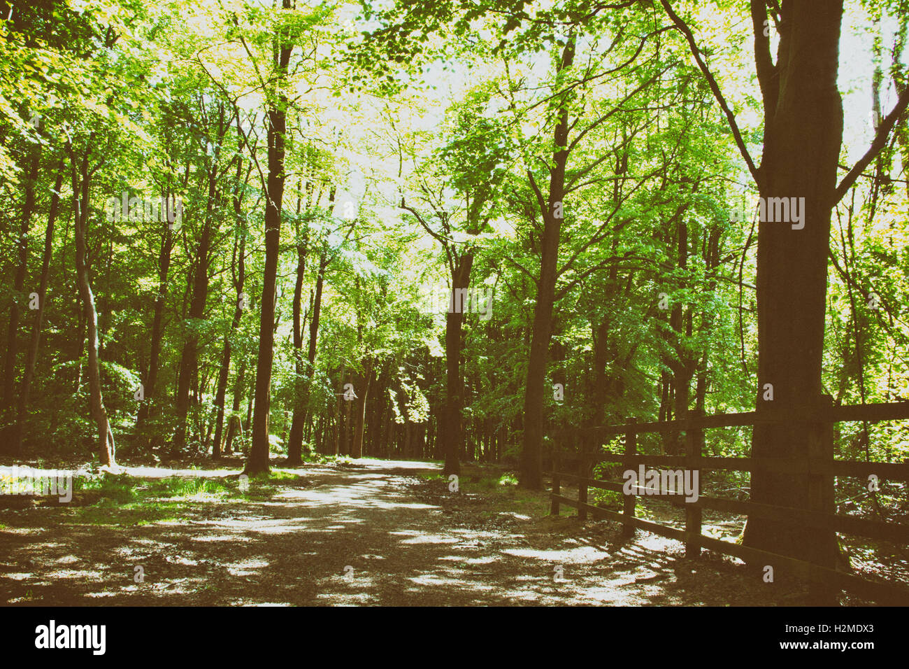 Rural country scene path winding hi-res stock photography and images ...