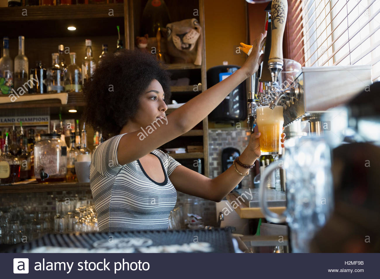 Bartender pouring beer from tap behind counter Stock Photo - Alamy