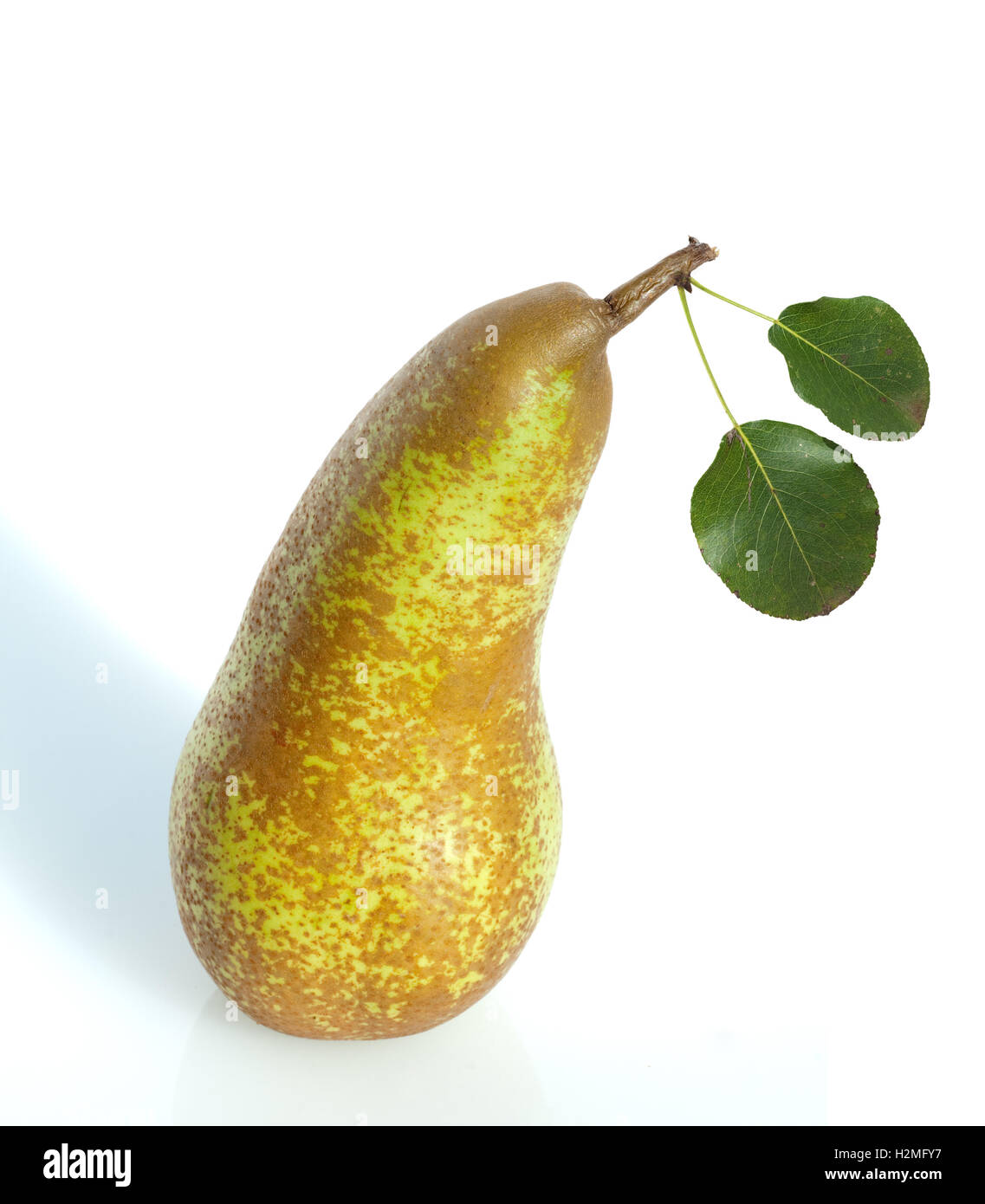 Birne blumen hi-res stock photography and images - Alamy