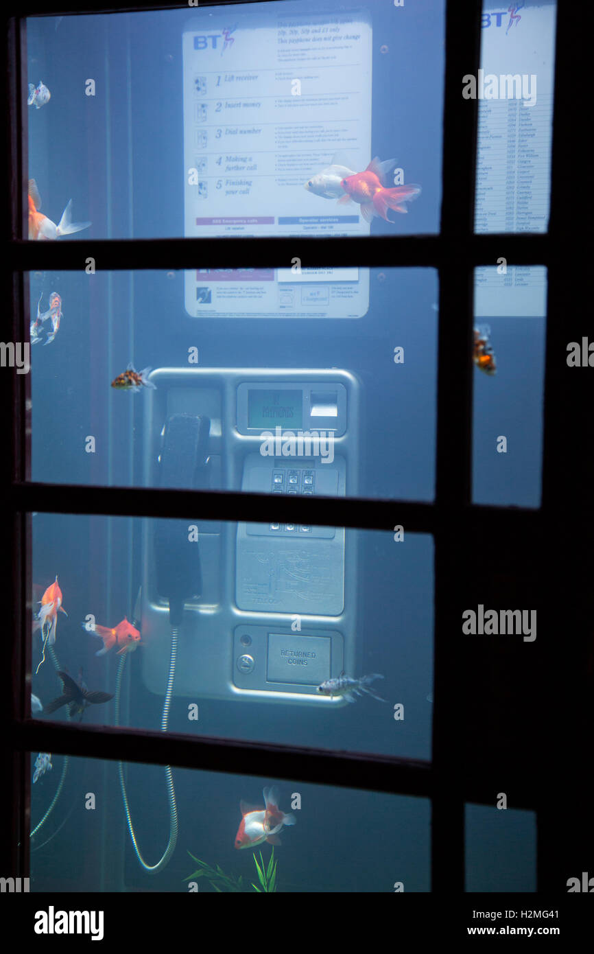Telephone box aquarium hi-res stock photography and images - Alamy