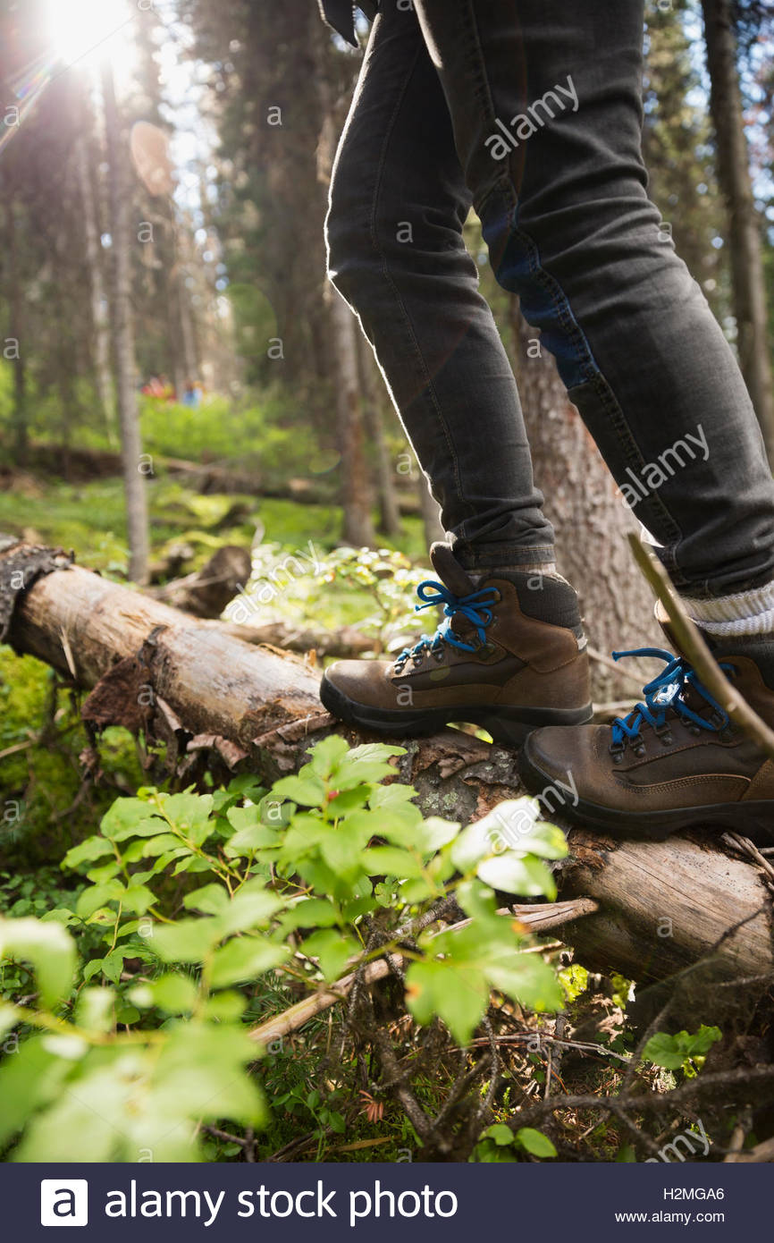 Woman in hiking boots walking along fallen tree in woods Stock Photo ...