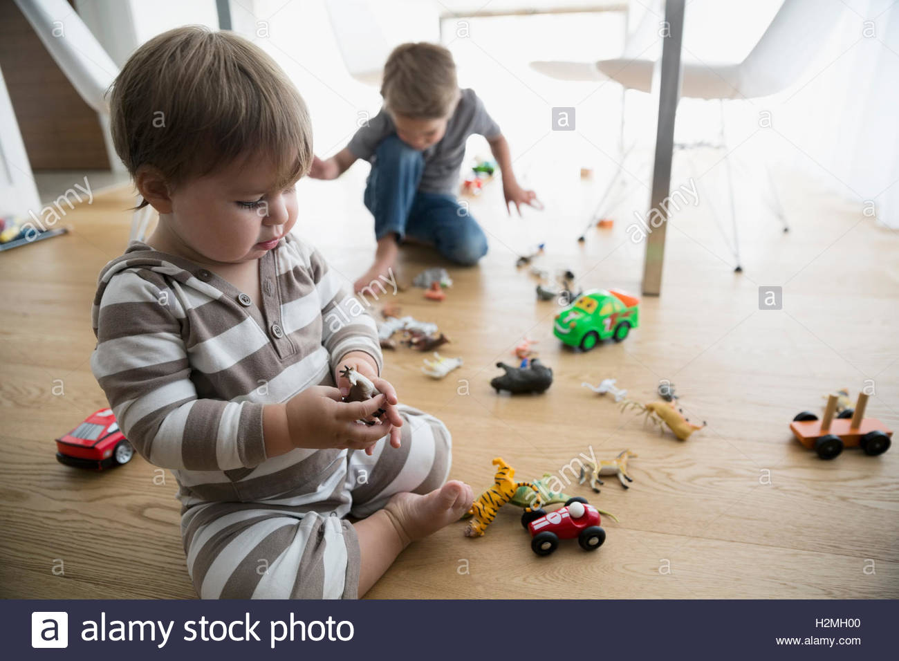 Baby boy and brother playing with toys on hardwood floor Stock Photo ...