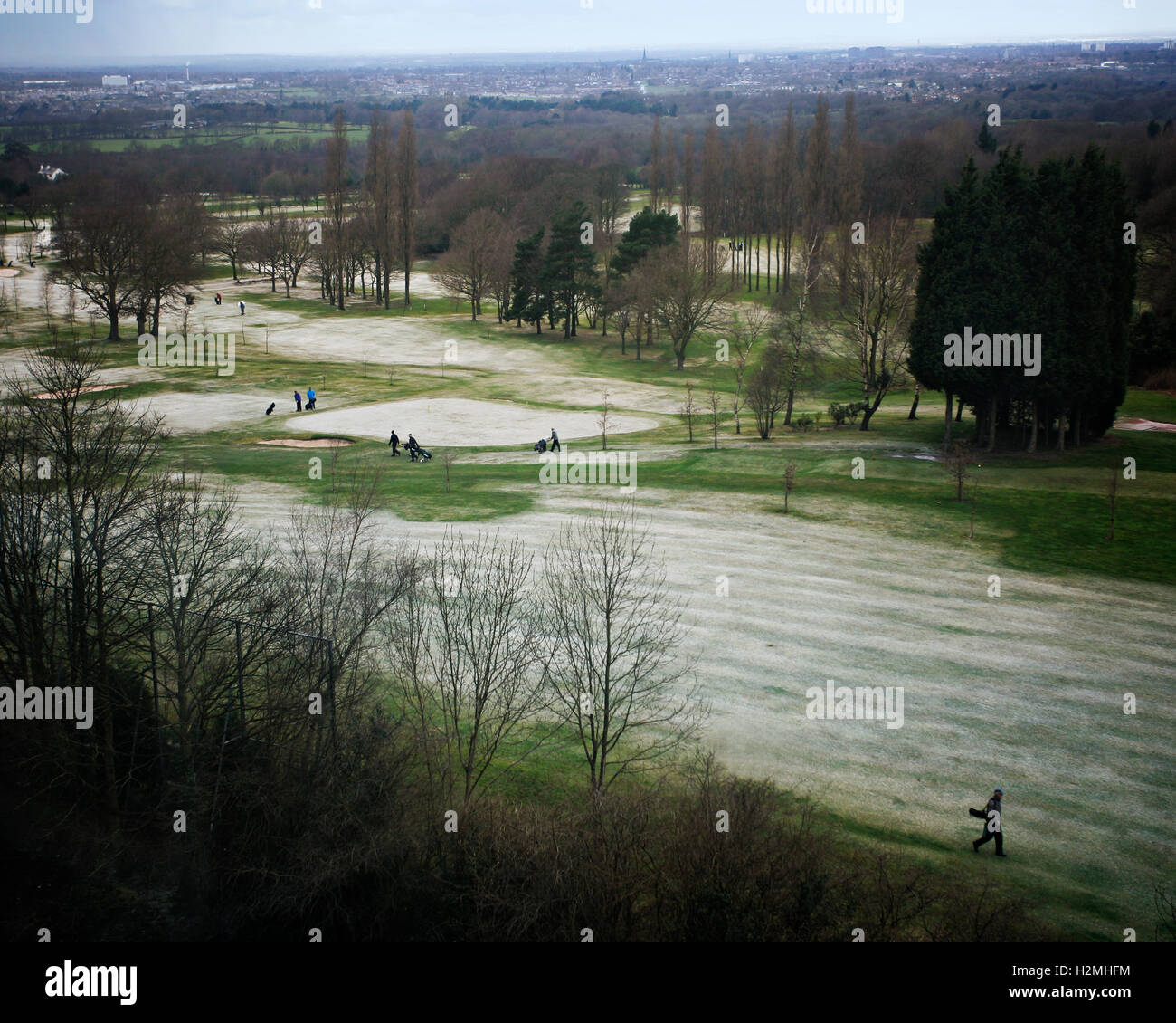 Golfers walking on frosty golf course Stock Photo - Alamy