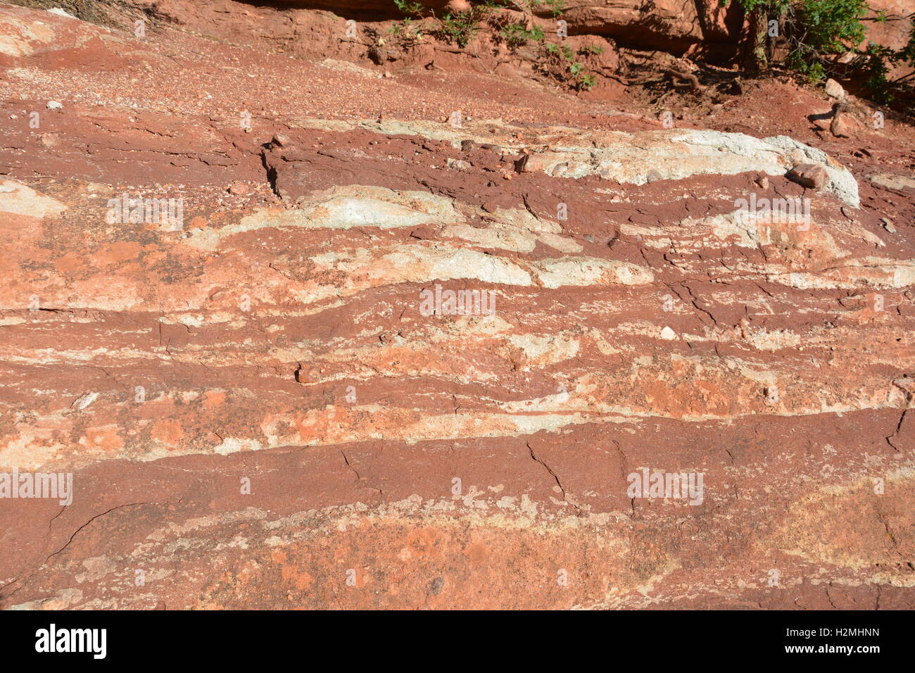 Close-up of stratified sandstone at Garden of the Gods Park, showing ...