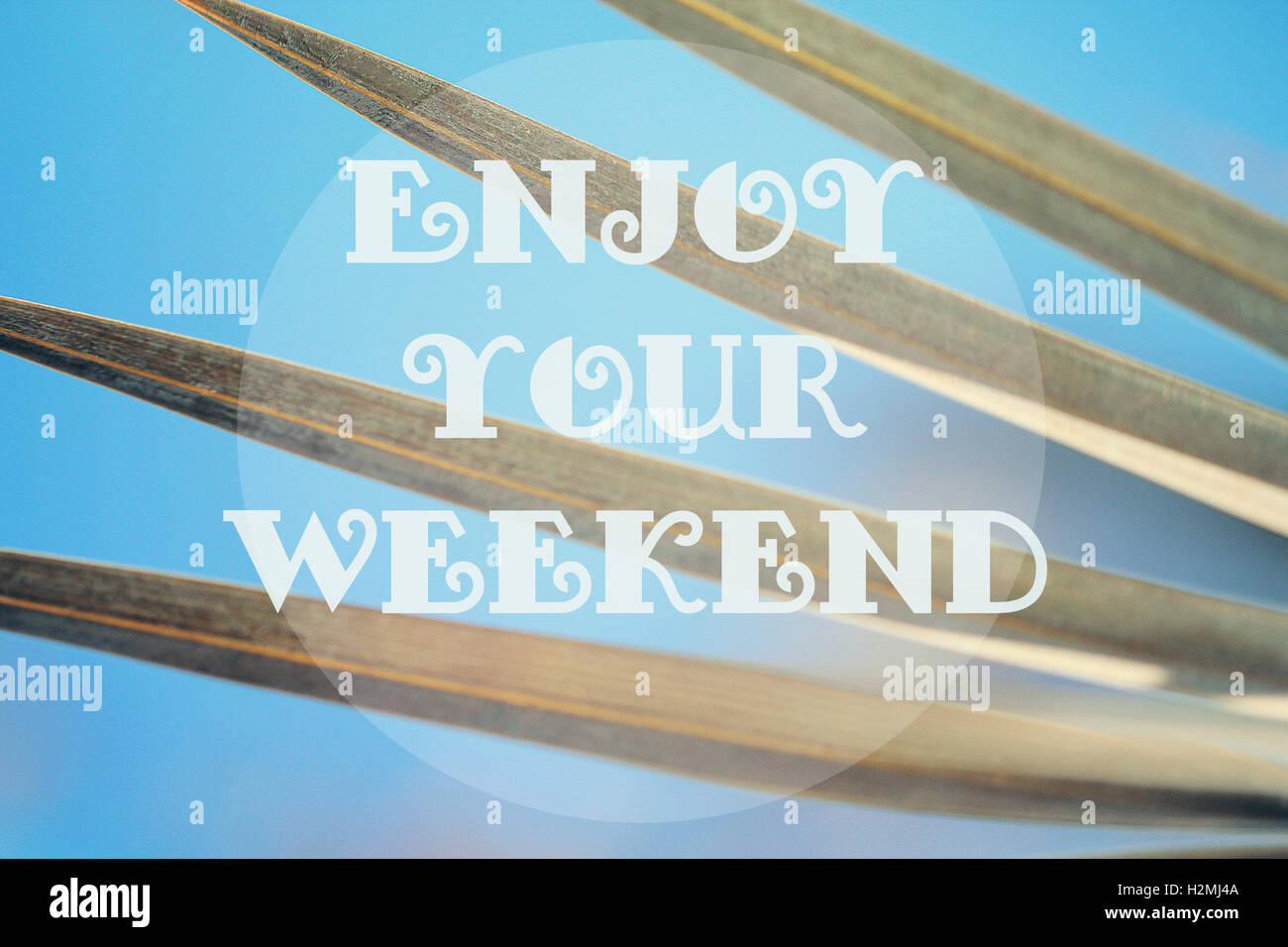 Date palm leaf close up beautiful photo Stock Photo - Alamy