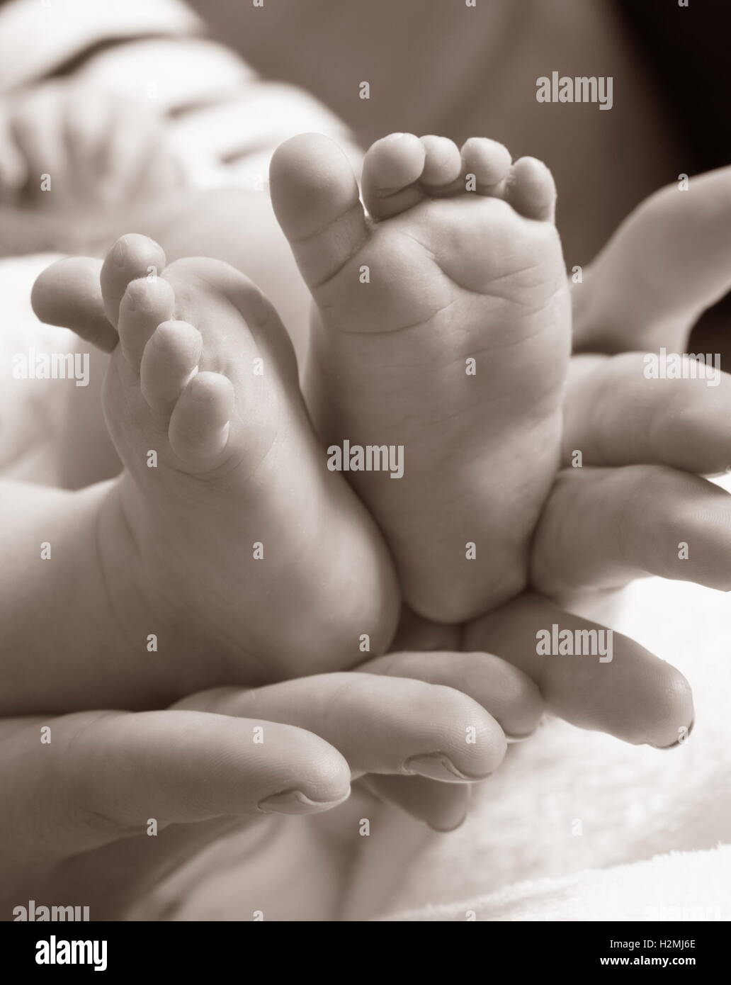 small baby legs in mother hands Stock Photo - Alamy