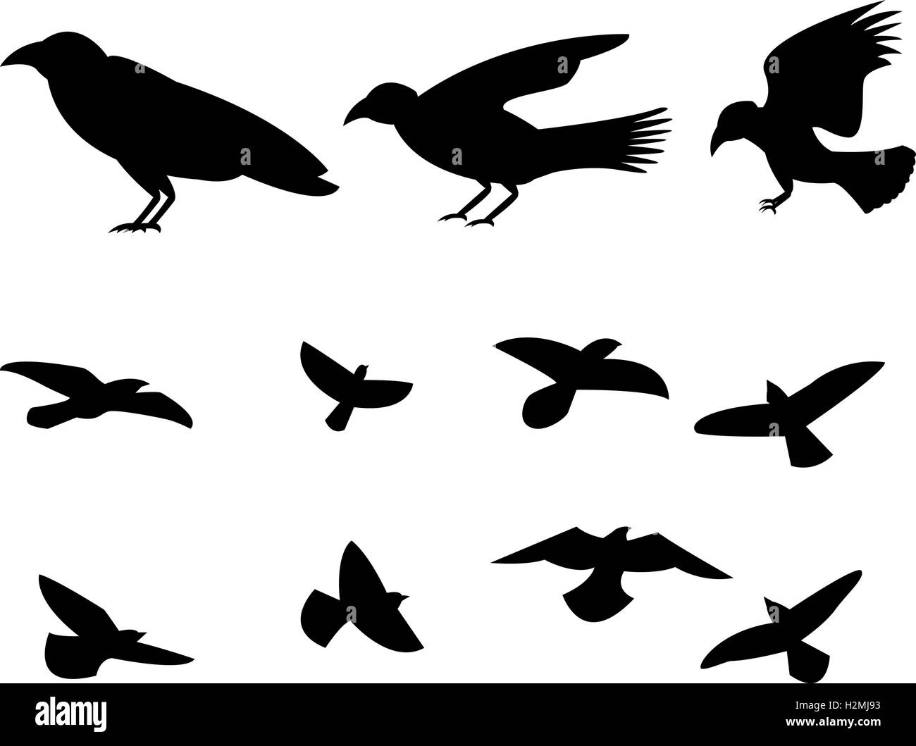 Silhouette flying raven bird, vector design Stock Vector Image & Art ...