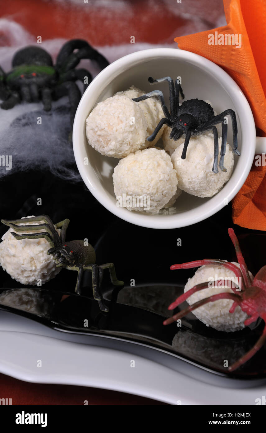 Coconut spider hi-res stock photography and images - Alamy