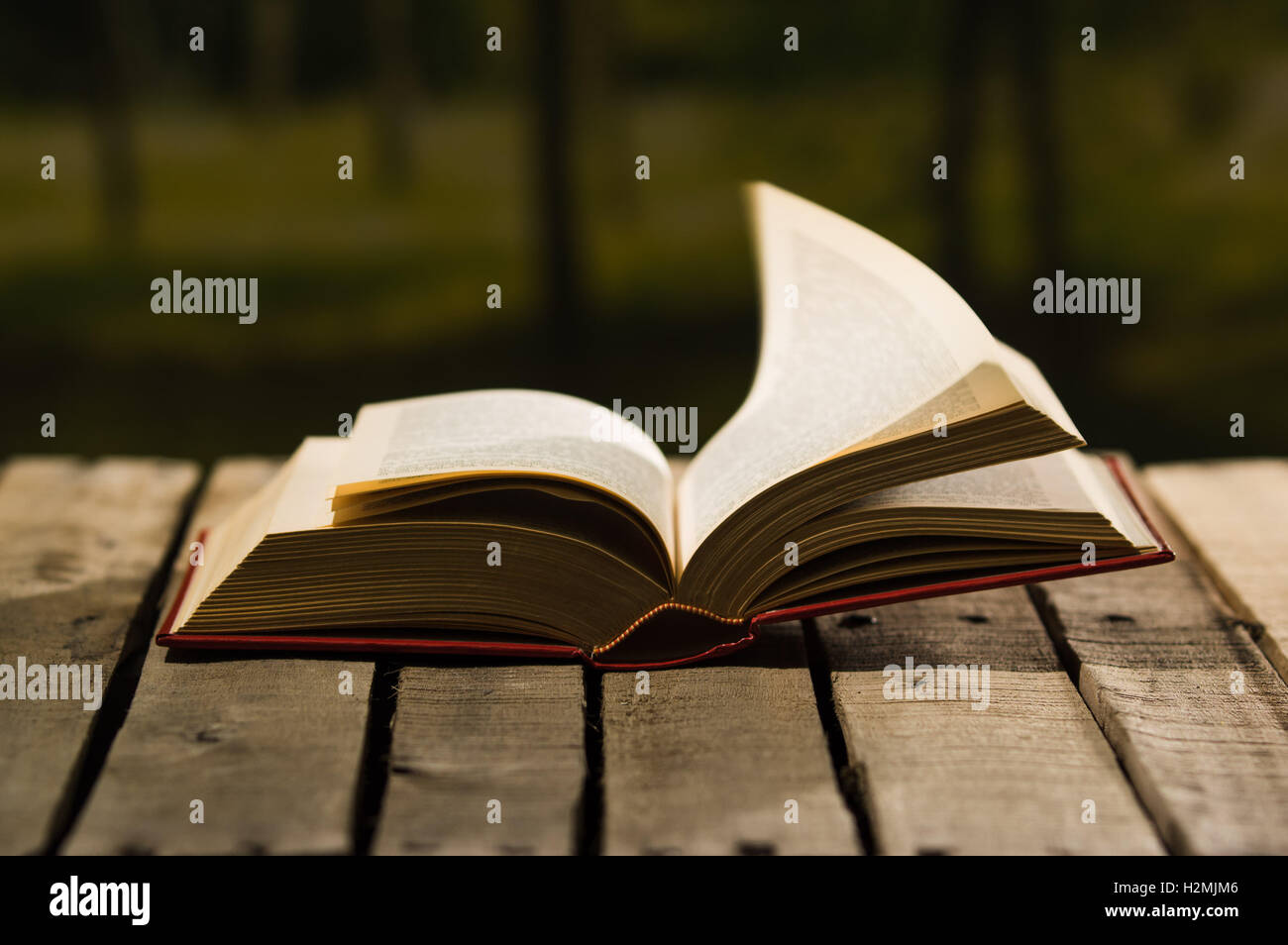 Thick book lying open on wooden surface, pages blowing in wind ...
