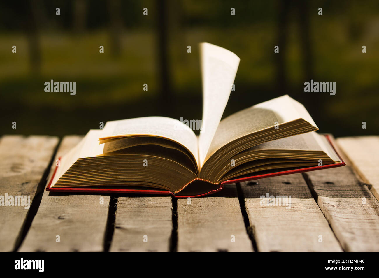 Thick book lying open on wooden surface, pages blowing in wind ...