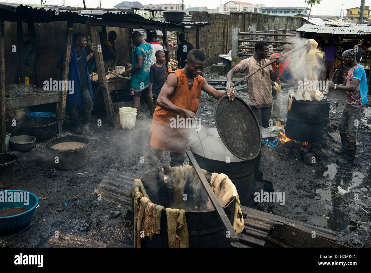 Animal Slaughter Stock Photos & Animal Slaughter Stock Images - Alamy