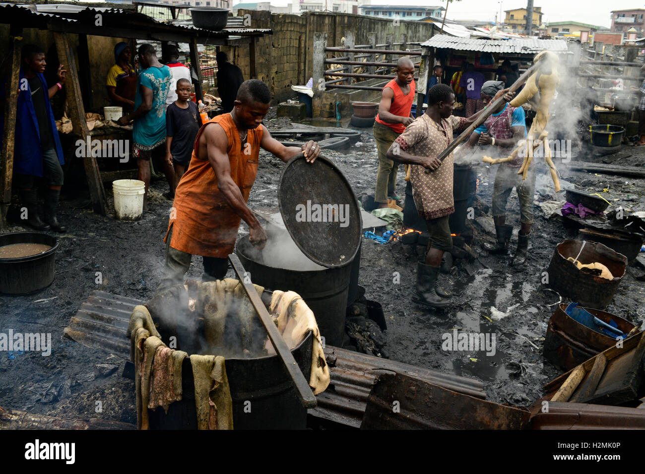 NIGERIA, Lagos, Arena Market , butcher slaughter live animals, boiling ...
