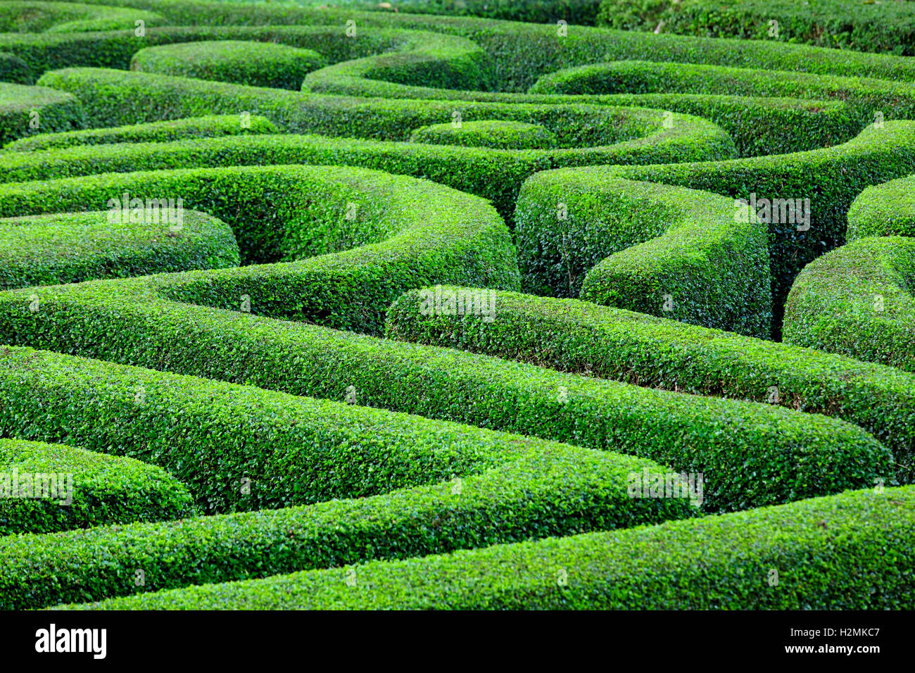 Maze garden hi-res stock photography and images - Alamy