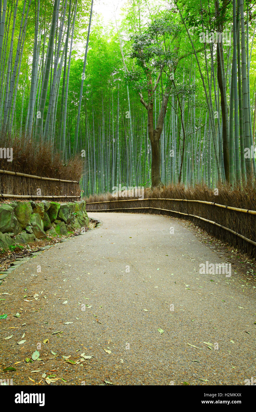 Background pathway hi-res stock photography and images - Alamy