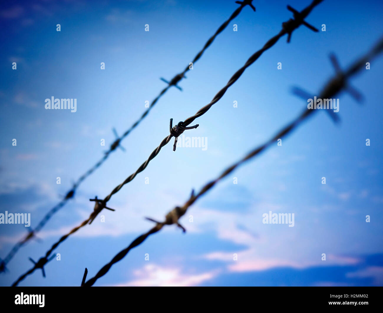 barbed wire against evening sky Stock Photo - Alamy