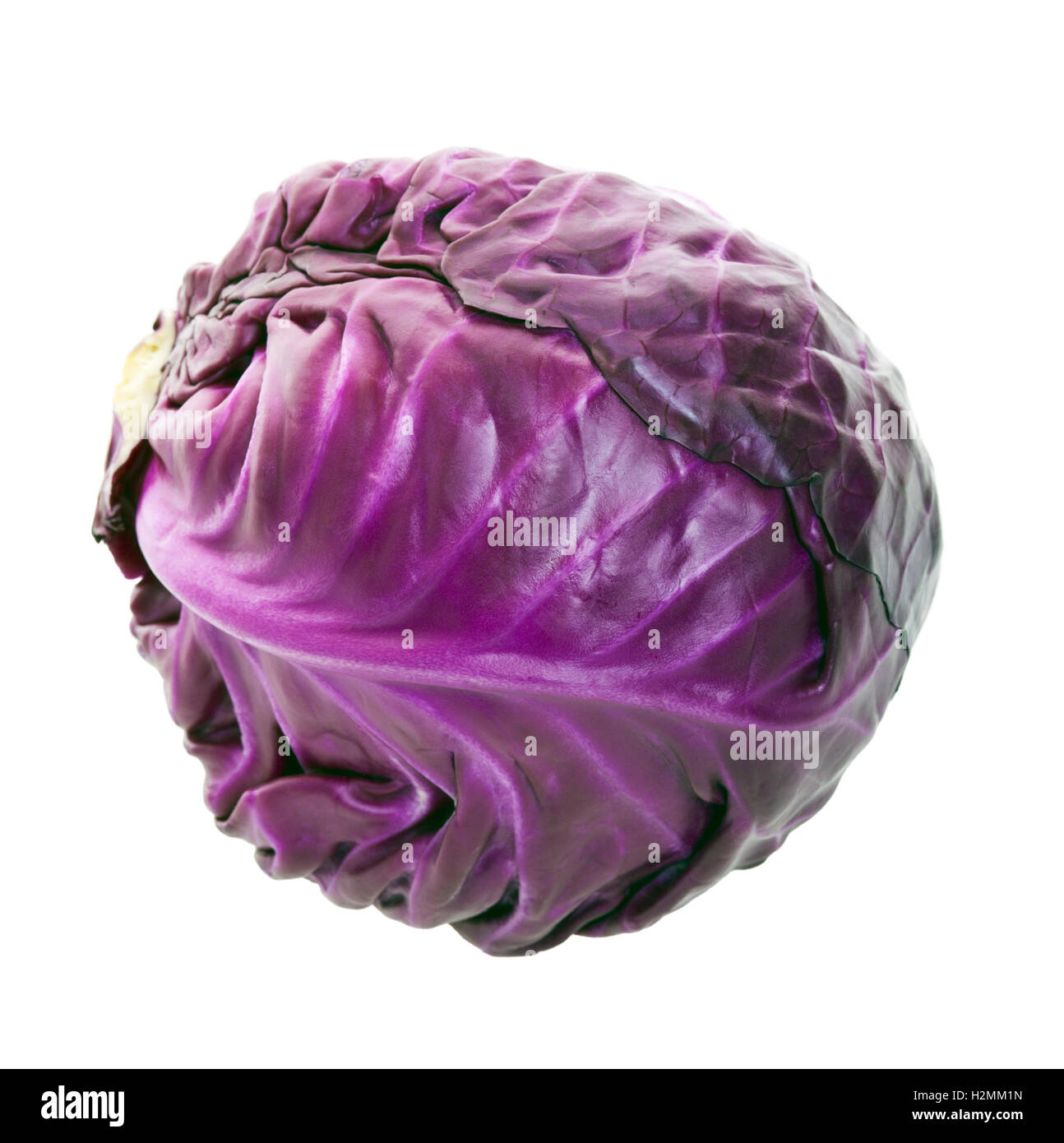 Head purple Cut Out Stock Images & Pictures - Alamy