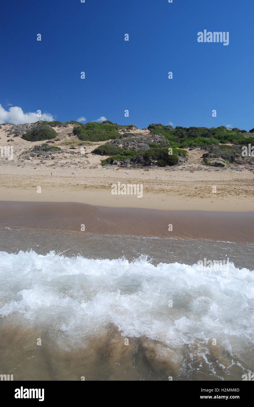 Turtle beach cyprus hi-res stock photography and images - Alamy