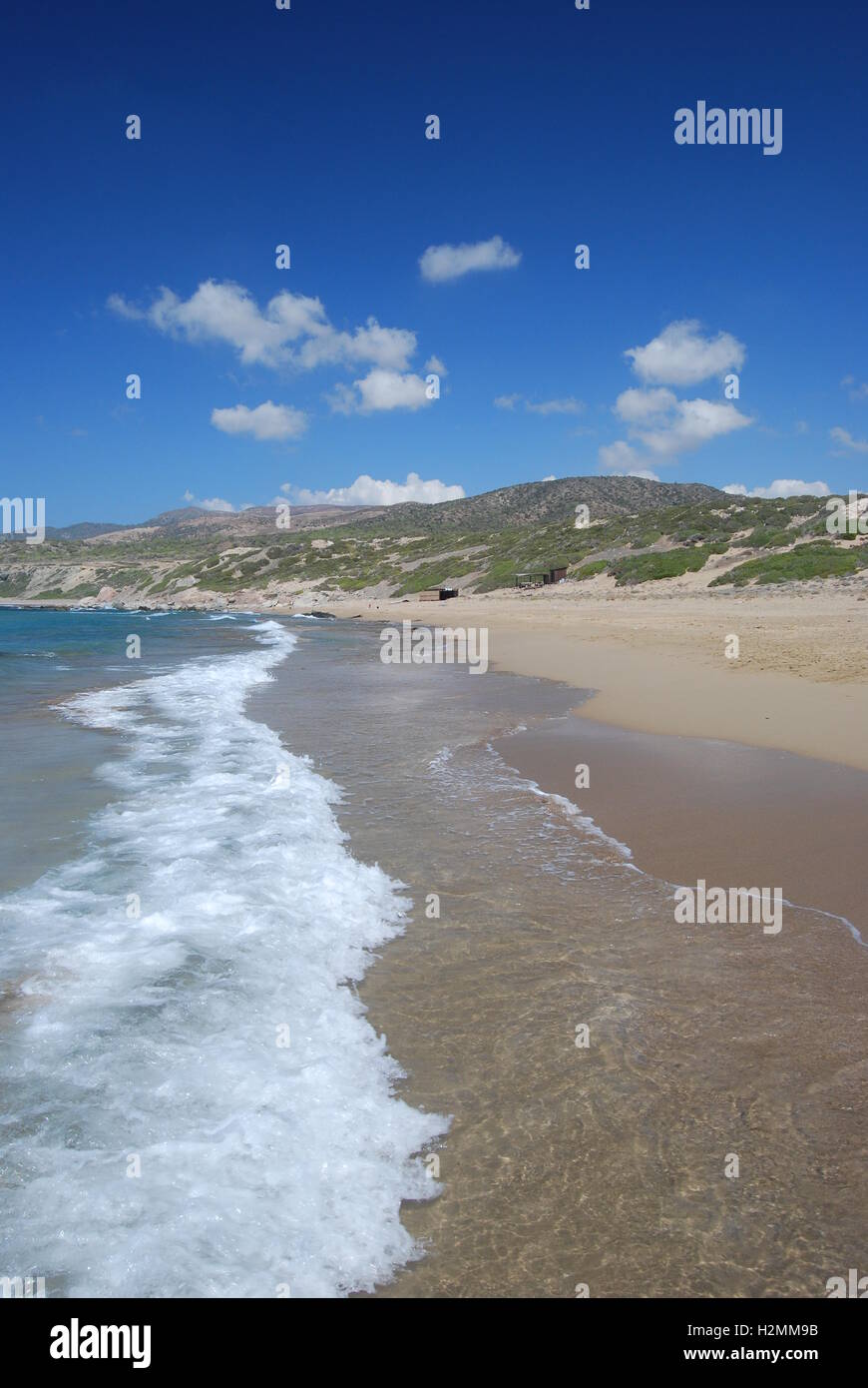 Turtle beach cyprus hi-res stock photography and images - Alamy