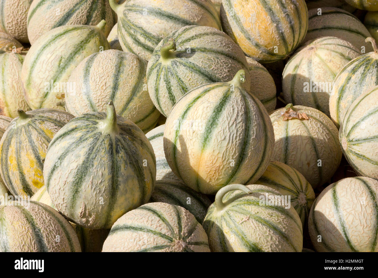 Juicy melons hi-res stock photography and images - Alamy