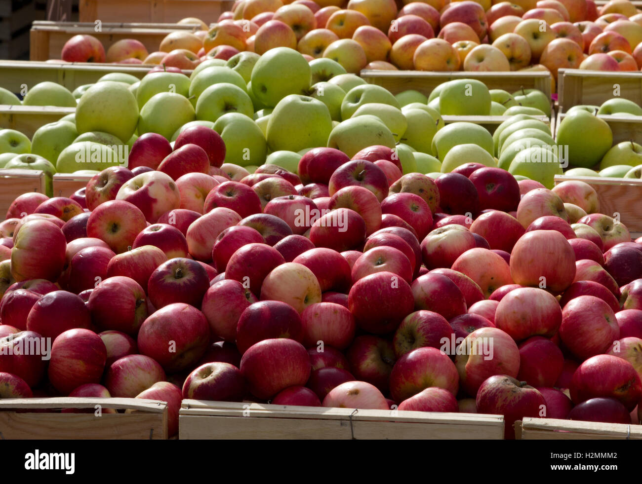Green markets hi-res stock photography and images - Alamy