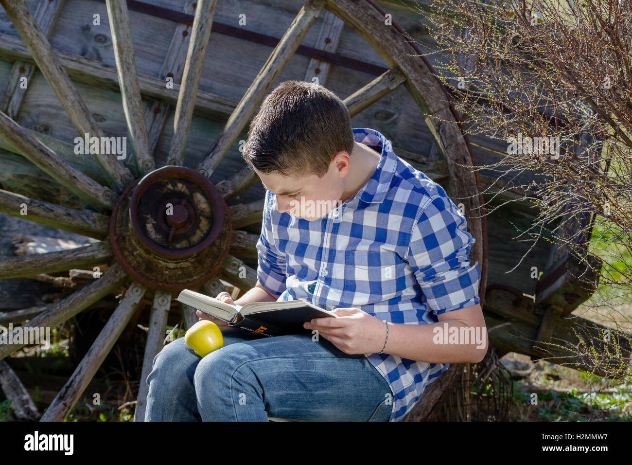 Cowboy young reading a book Stock Photo - Alamy