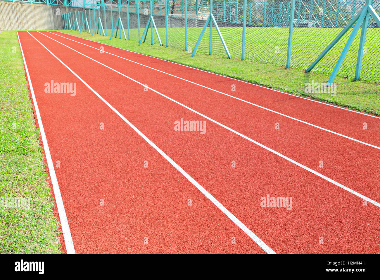 Running and training colorful hi-res stock photography and images - Alamy