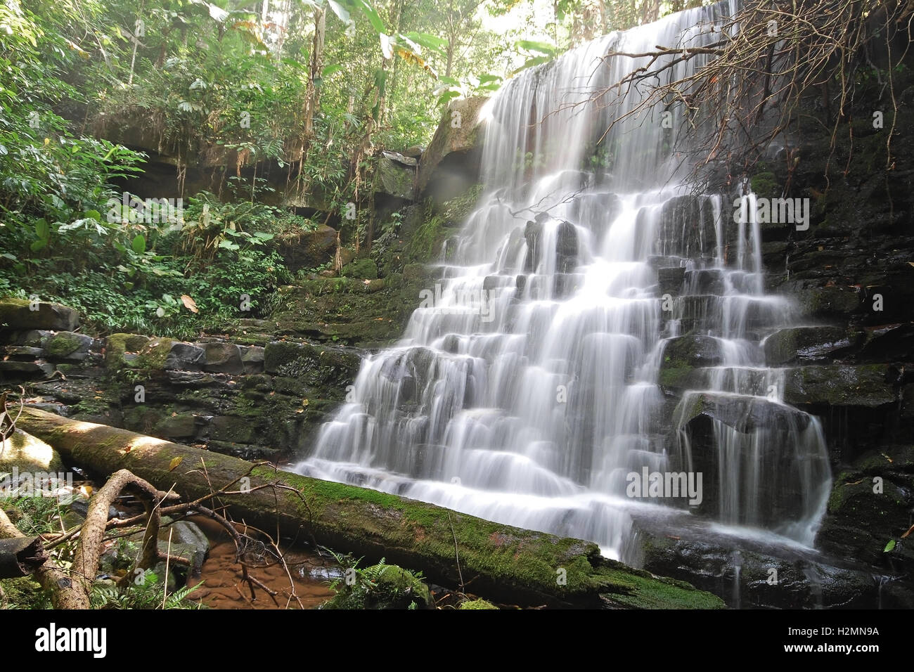 Man dang hi-res stock photography and images - Alamy