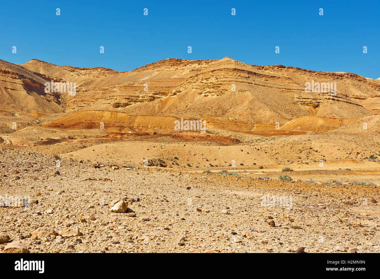 Desert in Israel Stock Photo - Alamy