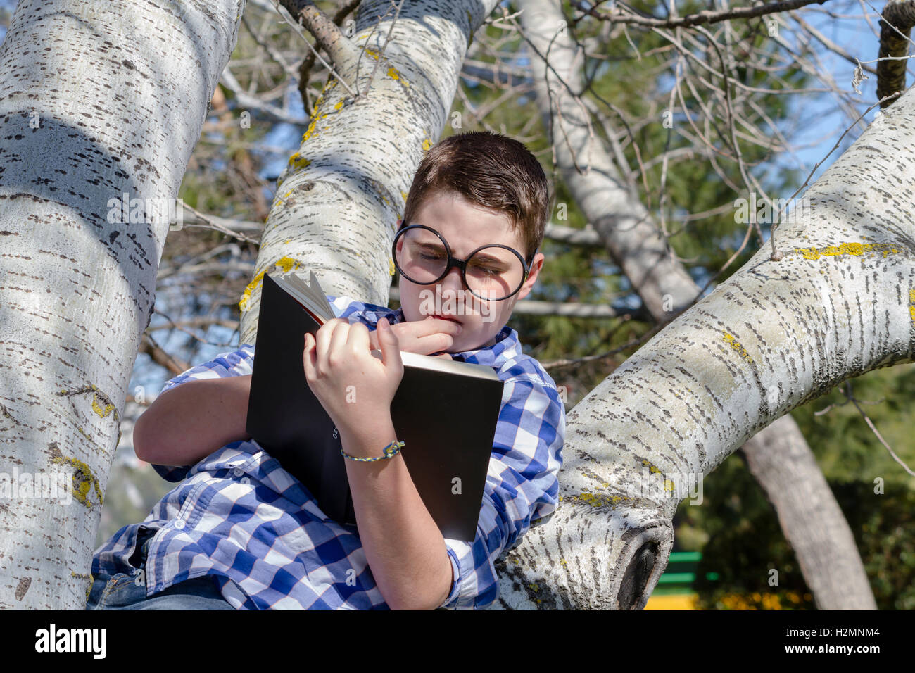 Young boy reading a book in the woods with shallow depth of fiel Stock ...