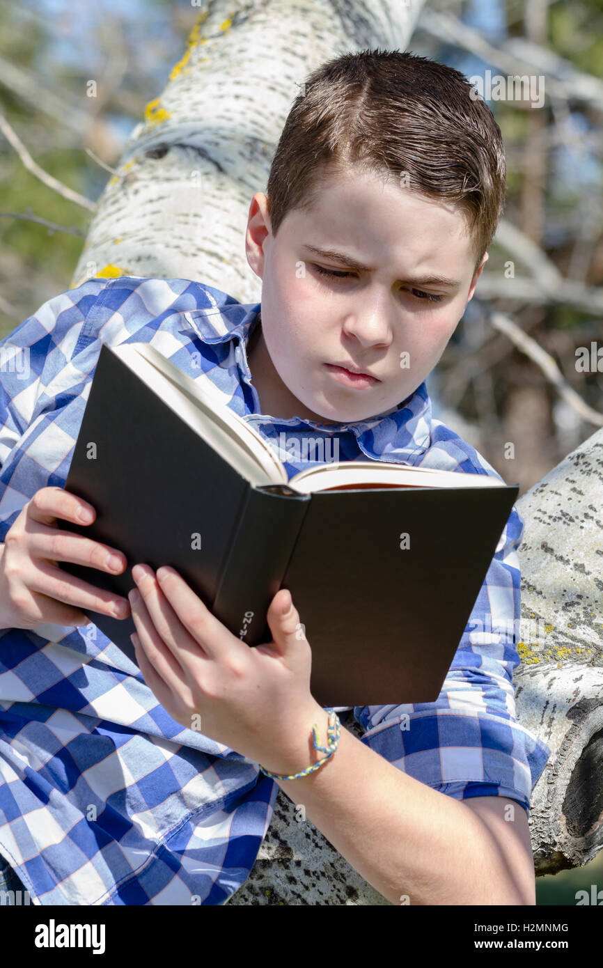 Young boy reading a book in the woods with shallow depth of fiel Stock ...