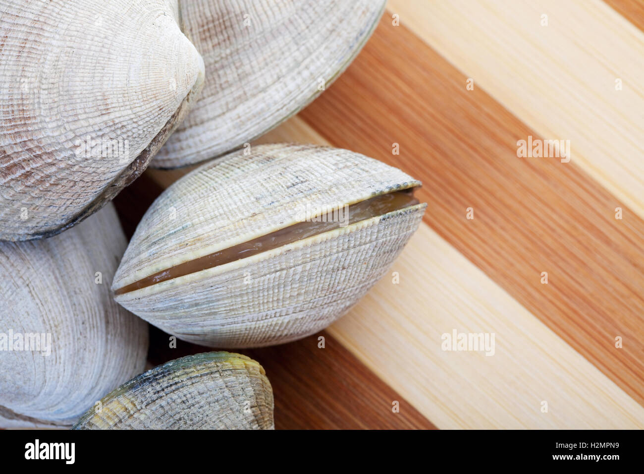 Bamboo Clams High Resolution Stock Photography and Images - Alamy