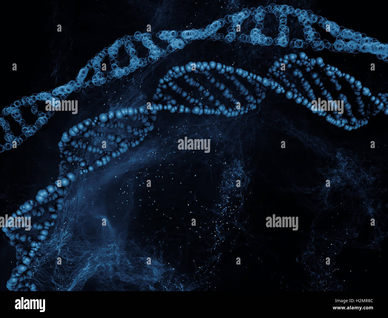 Evolving genetics hi-res stock photography and images - Alamy
