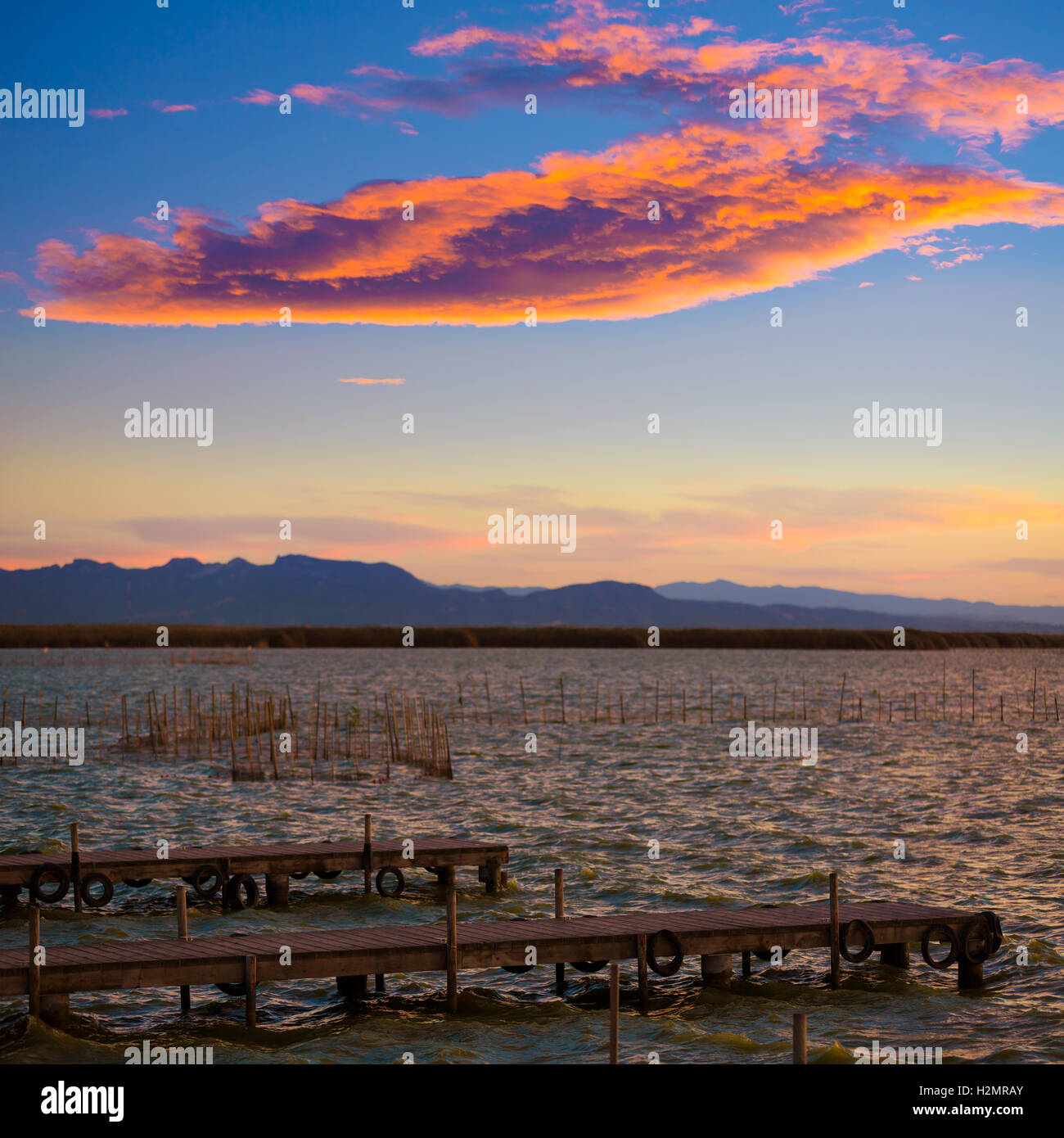 Albufera sunset lake park in Valencia el saler Spain Stock Photo - Alamy