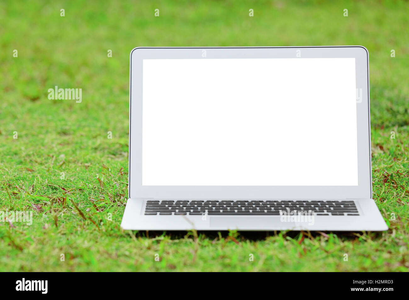 Notebook computer green screen office hi-res stock photography and ...