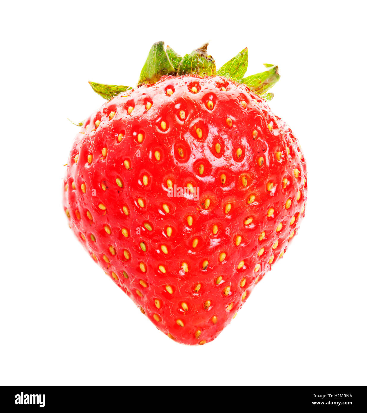 Fresh tasty strawberry leaves hi-res stock photography and images - Alamy