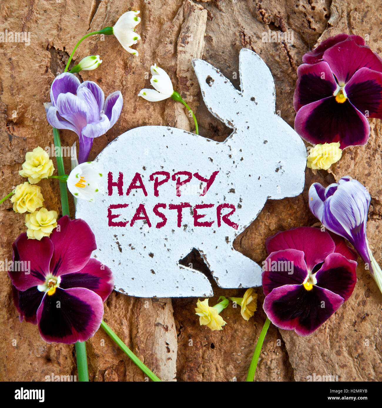 Spring flowers on rustic wooden background Stock Photo - Alamy