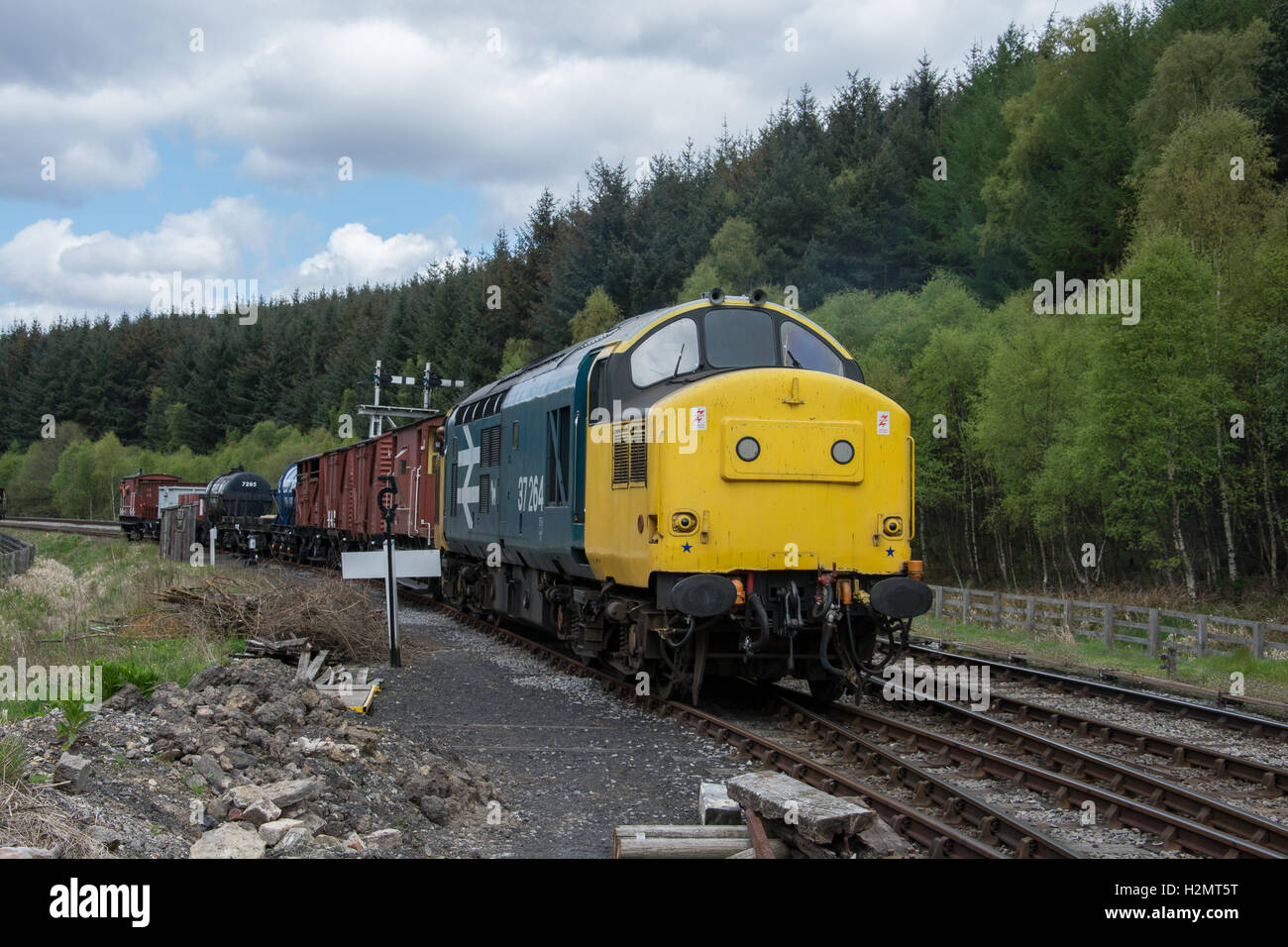 Class 37 37264 hi-res stock photography and images - Alamy