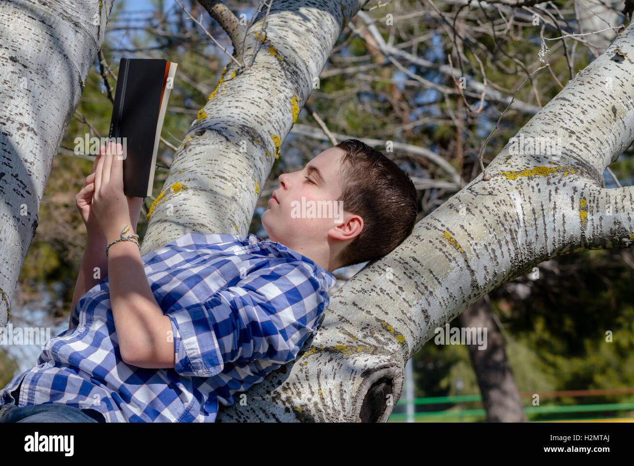 Young boy reading a book in the woods with shallow depth of fiel Stock ...