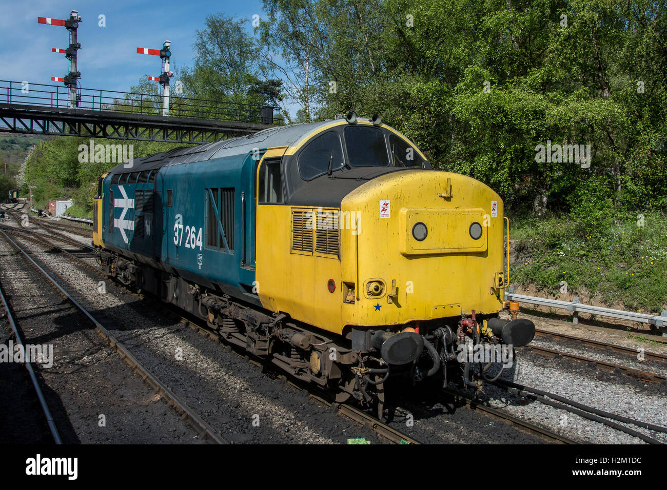 Br large logo class 37 locomotive hi-res stock photography and images ...