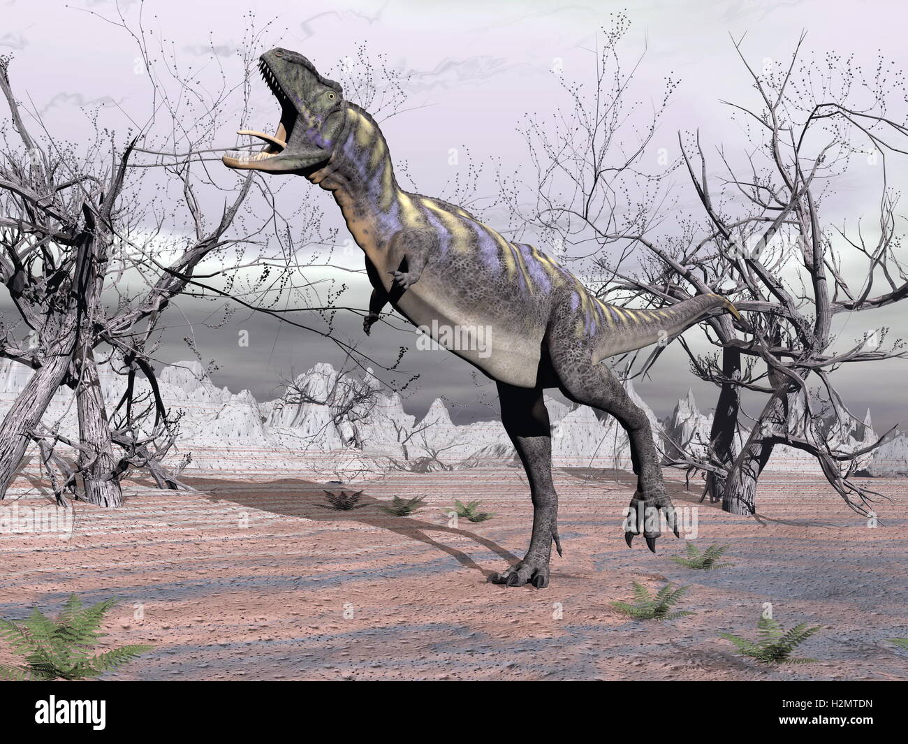 Aucasaurus dinosaur - 3D render Stock Photo - Alamy