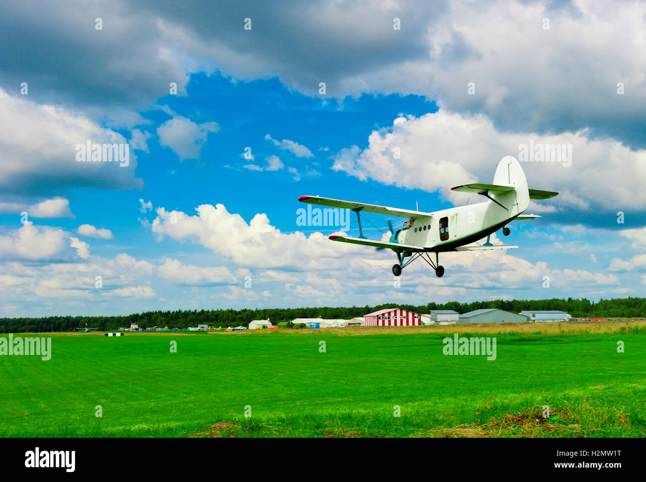 plane lands on the green field Stock Photo - Alamy