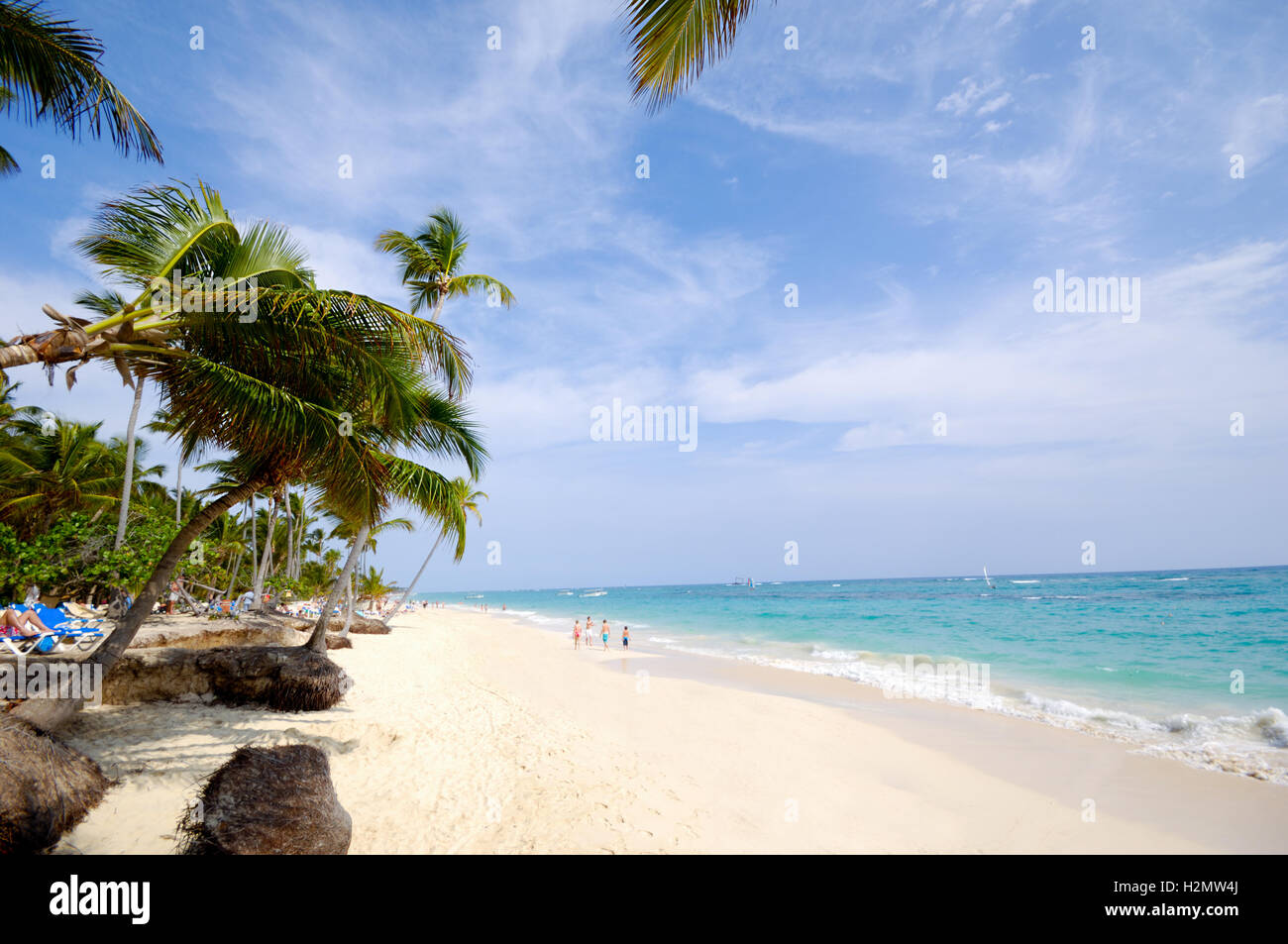 Caribbean beach with palm and white sand Stock Photo - Alamy