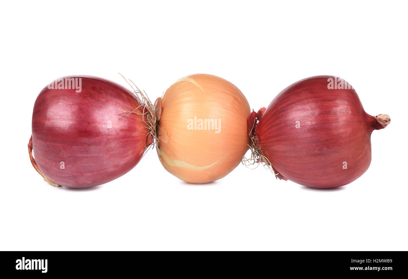 Three ripe onions Stock Photo - Alamy