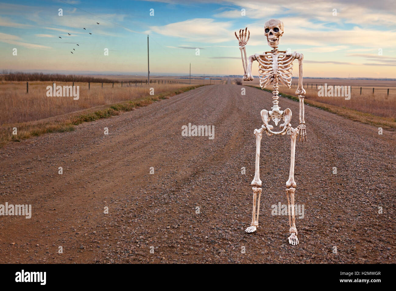 Country skeleton hi-res stock photography and images - Alamy