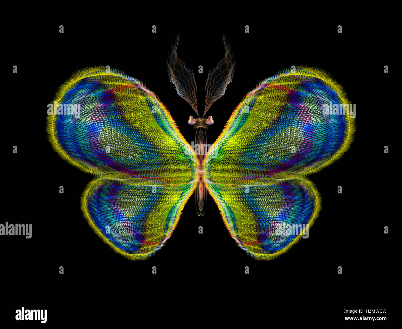 Magic of Butterfly Stock Photo - Alamy