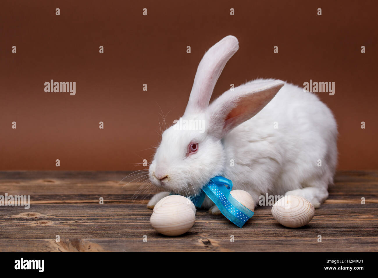 Rabbit with bow Stock Photo - Alamy