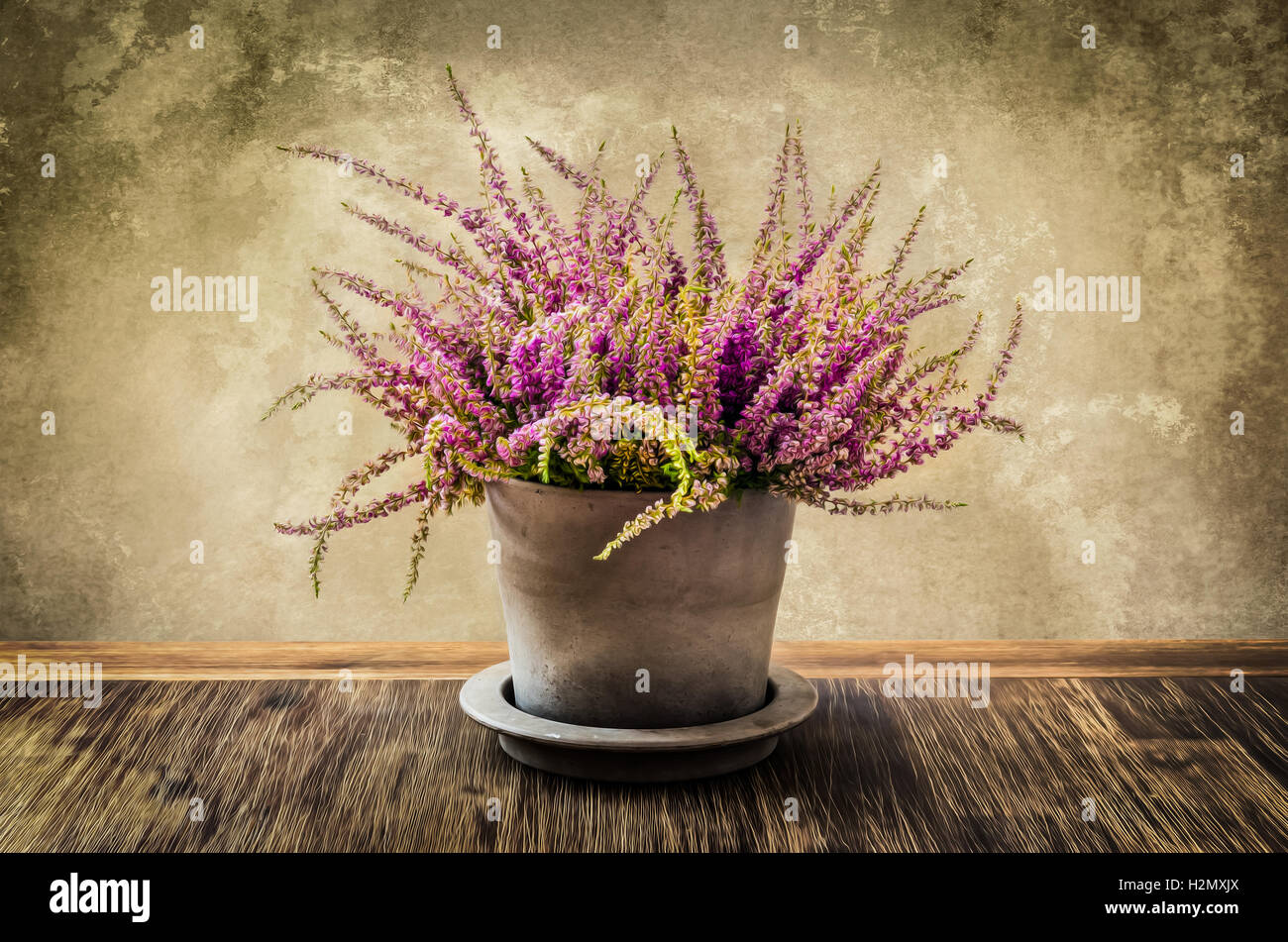 Post-process painting of nice heather flower in pot Stock Photo - Alamy