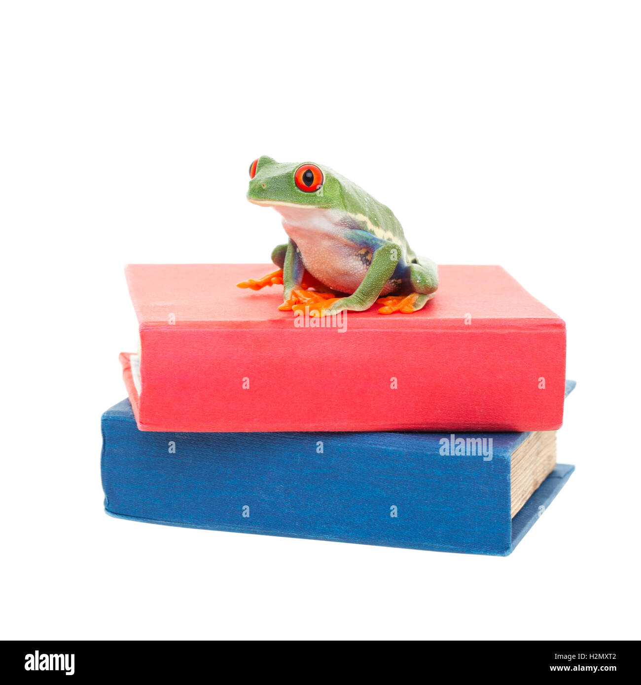 Frog on Science Books Stock Photo - Alamy