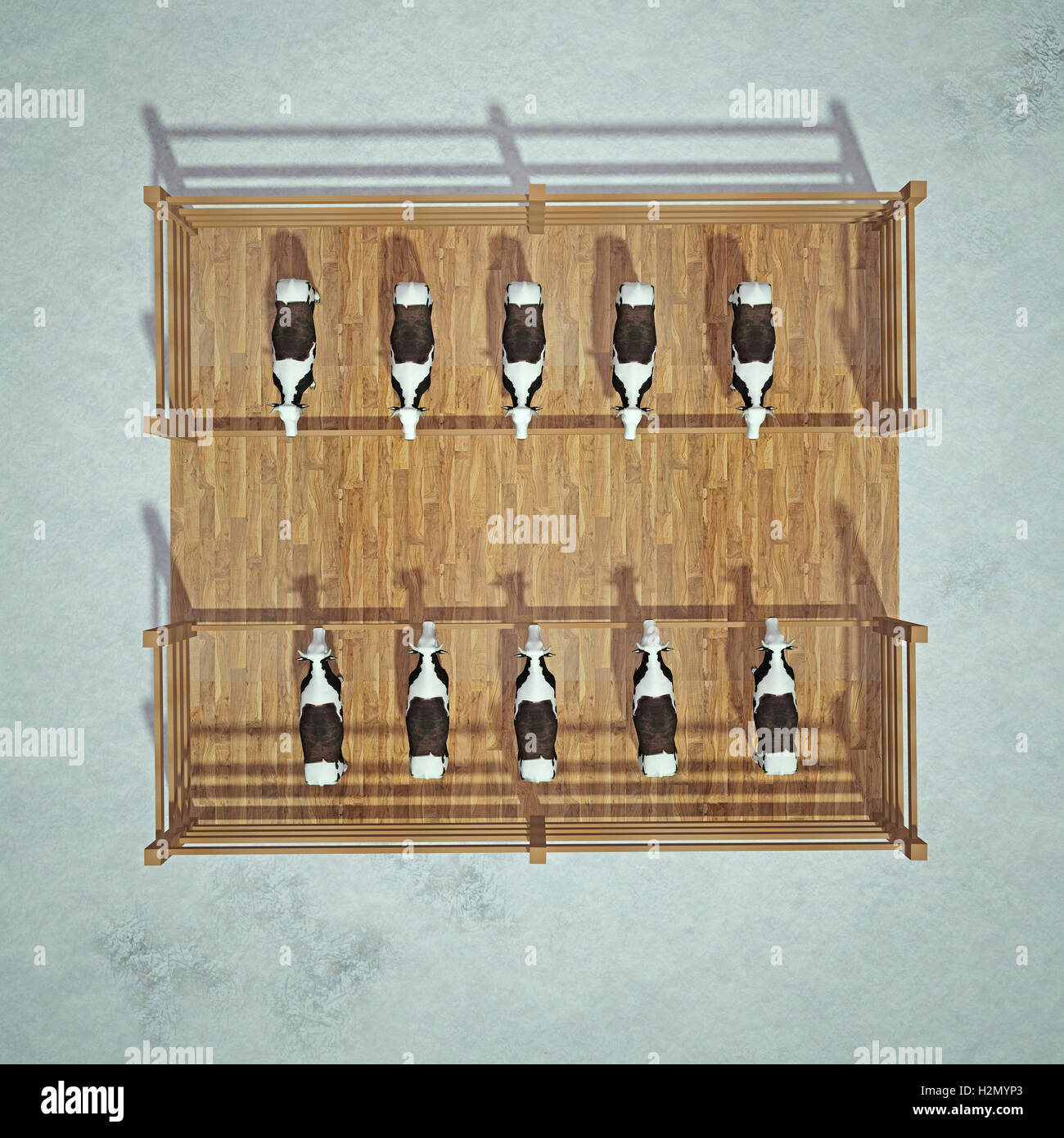 barn with cows top view 3d rendering Stock Photo - Alamy